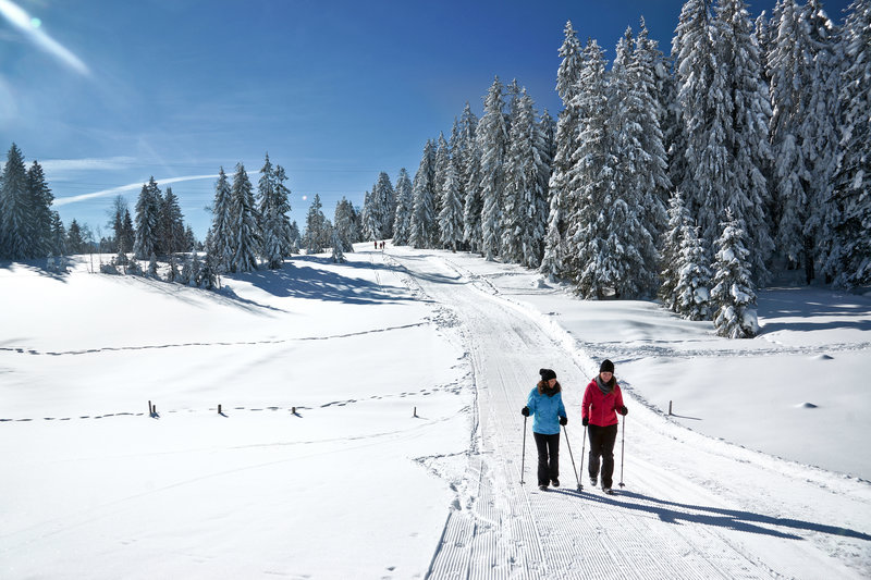 Winterwandelen in het bregenzerwald | Oostenrijk TV